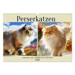 Perserkatzen. Zauberhaft, sanft, anh&auml;nglich und wundersch&ouml;n (Wandkalender 2026 DIN A3 quer), Calvendo Monatskalender