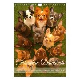 Chihuahua Diamonds &ndash; Magic Moments mit unseren sch&ouml;nsten Welpen aller Zeiten (Wandkalender 2026 DIN A4 hoch), Calvendo Monatskalender