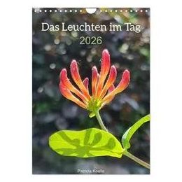 Das Leuchten im Tag (Wandkalender 2026 DIN A4 hoch), Calvendo Monatskalender