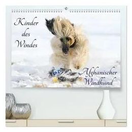 Calvendo Kinder des Windes - Afghanischer Windhund (hochwertiger Premium Wandkalender 2026 DIN A2 quer), Kunstdruck in Hochglanz