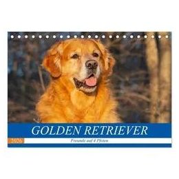 Golden Retriever - Freunde auf 4 Pfoten (Tischkalender 2026 DIN A5 quer), Calvendo Monatskalender