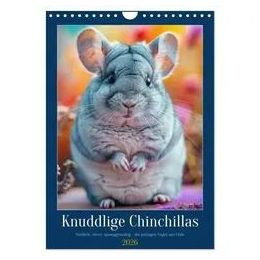 Knuddlige Chinchillas (Wandkalender 2026 DIN A4 hoch), Calvendo Monatskalender