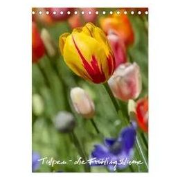 Tulpen - die Fr&uuml;hlingsblume (Tischkalender 2026 DIN A5 hoch), Calvendo Monatskalender
