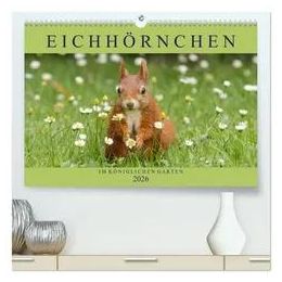 Calvendo Eichh&ouml;rnchen im K&ouml;niglichen Garten (hochwertiger Premium Wandkalender 2026 DIN A2 quer), Kunstdruck in Hochglanz