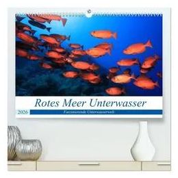 Calvendo Rotes Meer Unterwasser (hochwertiger Premium Wandkalender 2026 DIN A2 quer), Kunstdruck in Hochglanz