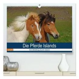 Calvendo Die Pferde Islands - Ein Streifzug durch Island (hochwertiger Premium Wandkalender 2026 DIN A2 quer), Kunstdruck in Hochglanz