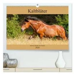 Calvendo Kaltbl&uuml;ter - Schwere Pferde mit Charme (hochwertiger Premium Wandkalender 2026 DIN A2 quer), Kunstdruck in Hochglanz