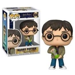 Funko POP HP: HP S18  Harry w/Hourglass?