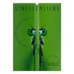LibellenLiebe - Schau mir in die Augen, Kleines! (Wandkalender 2026 DIN A3 hoch), Calvendo Monatskalender