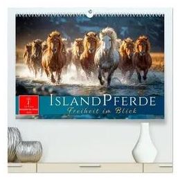 Calvendo Islandpferde - Freiheit im Blick (hochwertiger Premium Wandkalender 2026 DIN A2 quer), Kunstdruck in Hochglanz