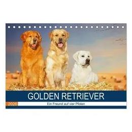 Golden Retriever - Ein Freund auf vier Pfoten (Tischkalender 2026 DIN A5 quer), Calvendo Monatskalender