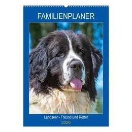 Familienplaner Landseer - Freund und Retter (Wandkalender 2026 DIN A2 hoch), Calvendo Monatskalender