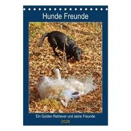 Hunde Freunde (Tischkalender 2026 DIN A5 hoch), Calvendo Monatskalender