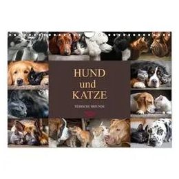 Hund und Katze - Tierische Freunde (Wandkalender 2026 DIN A4 quer), Calvendo Monatskalender