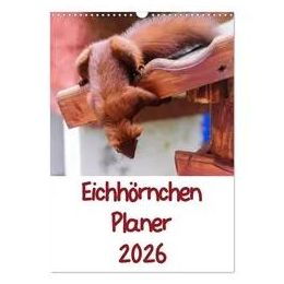 Eichh&ouml;rnchen Planer 2026 (Wandkalender 2026 DIN A3 hoch), Calvendo Monatskalender