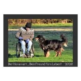 Der Hovawart... Dein Freund f&uuml;rs Leben ! (Wandkalender 2026 DIN A3 quer), Calvendo Monatskalender