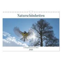 Natursch&ouml;nheiten im Biosph&auml;rerenreservat Rh&ouml;n (Wandkalender 2026 DIN A4 quer), Calvendo Monatskalender