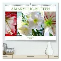 Calvendo Amaryllis-Bl&uuml;ten (hochwertiger Premium Wandkalender 2026 DIN A2 quer), Kunstdruck in Hochglanz
