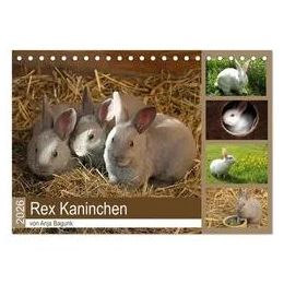 Rex - Kaninchen (Tischkalender 2026 DIN A5 quer), Calvendo Monatskalender