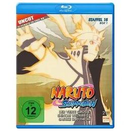 Naruto Shippuden - Staffel 15 - Box 1 - Uncut [2 BRs]