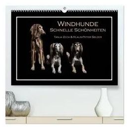 Calvendo Windhunde - Schnelle Sch&ouml;nheiten (hochwertiger Premium Wandkalender 2026 DIN A2 quer), Kunstdruck in Hochglanz