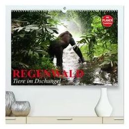 Calvendo Regenwald. Tiere im Dschungel (hochwertiger Premium Wandkalender 2026 DIN A2 quer), Kunstdruck in Hochglanz