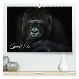 Calvendo Gorilla (hochwertiger Premium Wandkalender 2026 DIN A2 quer), Kunstdruck in Hochglanz