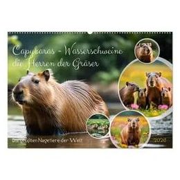 Capybaras - Wasserschweine die Herren der Gr&auml;ser (Wandkalender 2026 DIN A2 quer), Calvendo Monatskalender