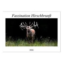 Faszination Hirschbrunft (Wandkalender 2026 DIN A2 quer), Calvendo Monatskalender