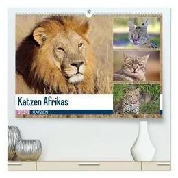Calvendo Katzen Afrikas (hochwertiger Premium Wandkalender 2026 DIN A2 quer), Kunstdruck in Hochglanz