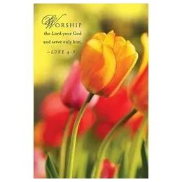 Tulips Spring Bulletin 2013, Regular (Package of 50)