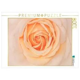 Calvendo Puzzle Rose im Morgentau 1000 Teile Lege-Gr&ouml;&szlig;e 64x48cm Foto-Puzzle f&uuml;r gl&uuml;ckliche Stunden