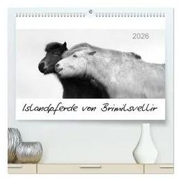 Calvendo Islandpferde von Brimilsvellir (hochwertiger Premium Wandkalender 2026 DIN A2 quer), Kunstdruck in Hochglanz