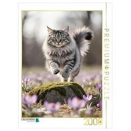 Calvendo Puzzle Eine Maine Coon Katze springt &uuml;ber einen Felsen und bewegt sich voller Energie durch die Fr&uuml;hlingsblumen 2000 Teile Lege-Gr&ouml;&szlig;e 90x67