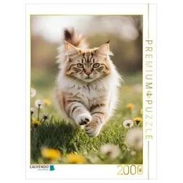 Calvendo Puzzle Die Maine Coon Katze l&auml;uft voller Energie durch eine bl&uuml;hende Fr&uuml;hlingswiese. 2000 Teile Lege-Gr&ouml;&szlig;e 90x67cm Foto-Puzzle f&uuml;r gl&uuml;cklic