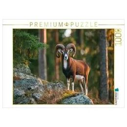 Calvendo Puzzle Ein stolzes Mufflon steht auf einem Felsen im Wald und wird vom warmen Licht der Abendsonne beleuchtet, Tierpuzzle 1000 Teile Lege-Gr&ouml;&szlig;e 64x48cm Foto-Puzzle f&uuml;r gl&uuml;ckliche Stunden
