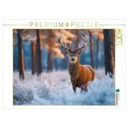 Calvendo Puzzle Ein stolzer Hirsch steht im verschneiten Winterwald und wird vom warmen Licht der aufgehenden Sonne erleuchtet. 1000 Teile Lege-Gr&ouml;&szlig;e 64x48cm Foto-Puzzle f&uuml;r gl&uuml;ckliche Stunden