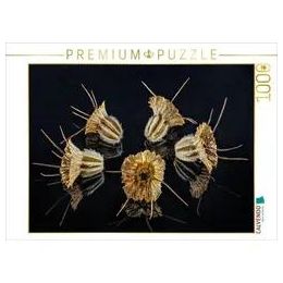 Calvendo Puzzle Samen der Skabiose 1000 Teile Lege-Gr&ouml;&szlig;e 64x48cm Foto-Puzzle f&uuml;r gl&uuml;ckliche Stunden
