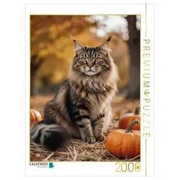 Calvendo Puzzle Eine Maine Coon Katze sitzt im Herbst zwischen K&uuml;rbissen und zeigt ihre elegante Ausstrahlung. 2000 Teile Lege-Gr&ouml;&szlig;e 90x67cm Foto-Pu