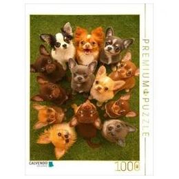 Calvendo Puzzle Chihuahua Diamonds - Kleine Freunde mit gro&szlig;en Augen 1000 Teile Lege-Gr&ouml;&szlig;e 64x48cm Foto-Puzzle f&uuml;r gl&uuml;ckliche Stunden