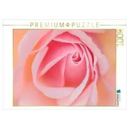 Calvendo Puzzle Rose im Morgentau 1000 Teile Lege-Gr&ouml;&szlig;e 64x48cm Foto-Puzzle f&uuml;r gl&uuml;ckliche Stunden
