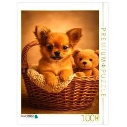 Calvendo Puzzle Chihuahua Diamonds - Frau Fuchs im Korb der Geborgenheit 1000 Teile Lege-Gr&ouml;&szlig;e 64x48cm Foto-Puzzle f&uuml;r gl&uuml;ckliche Stunden
