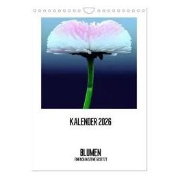 BLUMEN EINFACH IN SZENE GESETZT (Wandkalender 2026 DIN A4 hoch), Calvendo Monatskalender