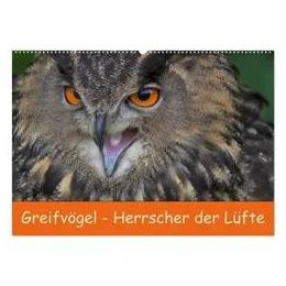 Greifv&ouml;gel - Herrscher der L&uuml;fte (Wandkalender 2026 DIN A2 quer), Calvendo Monatskalender