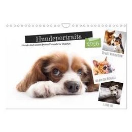 Hundeportraits, Hunde sind unsere besten Freunde by VogtArt (Wandkalender 2026 DIN A4 quer), Calvendo Monatskalender