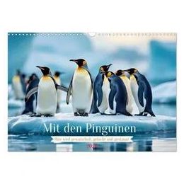 Mit den Pinguinen (Wandkalender 2026 DIN A3 quer), Calvendo Monatskalender