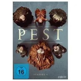 Polyband Die Pest - Staffel 2 [2 DVDs]