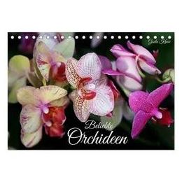 Beliebte Orchideen (Tischkalender 2026 DIN A5 quer), Calvendo Monatskalender