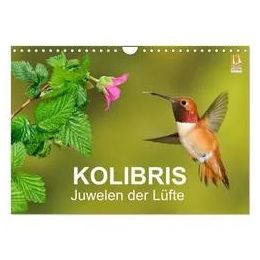 Kolibris - Juwelen der L&uuml;fte (Wandkalender 2026 DIN A4 quer), Calvendo Monatskalender