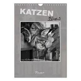 Katzen Blues / Planer (Wandkalender 2026 DIN A4 hoch), Calvendo Monatskalender